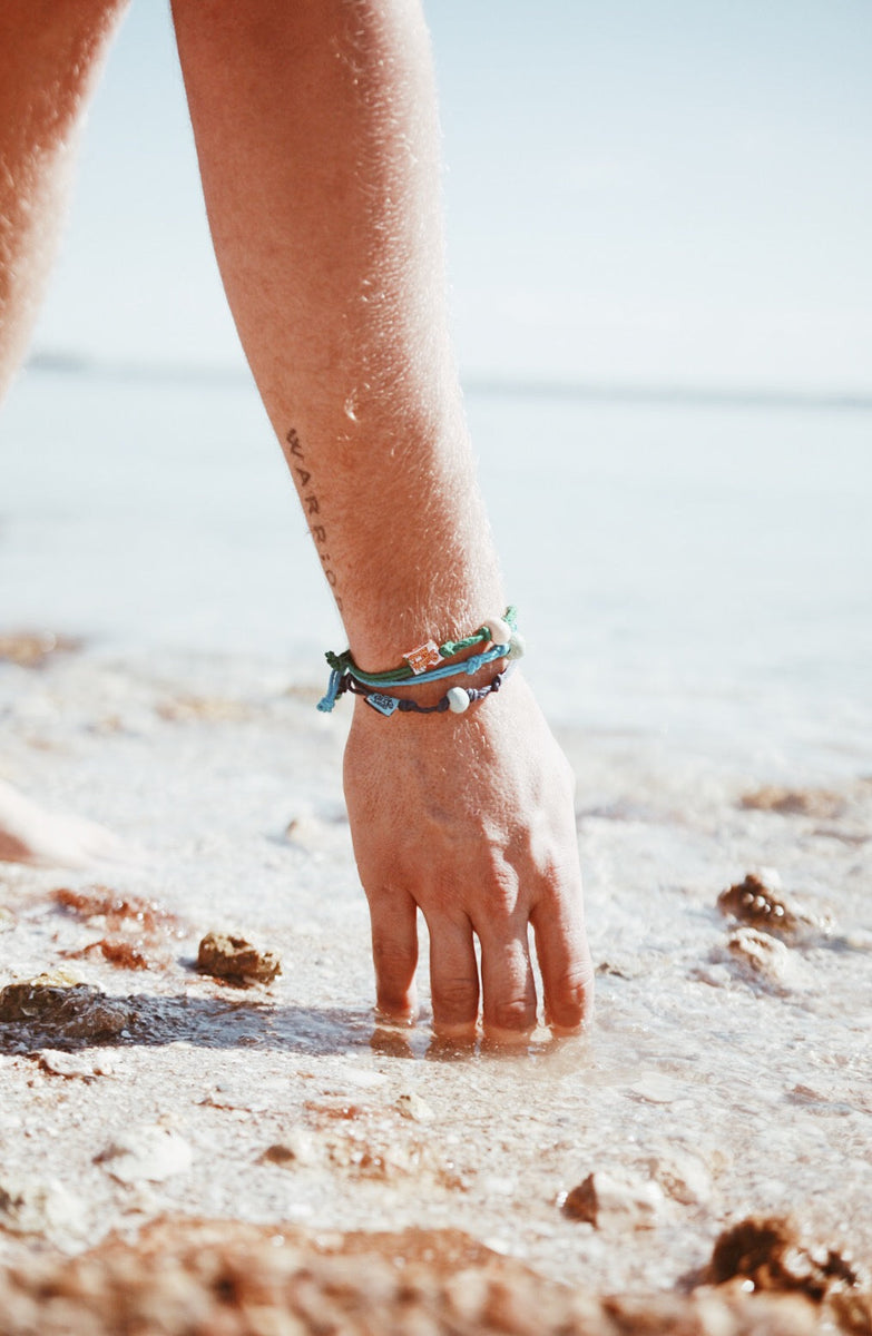 Put In Bay Ohio – Earth Bands